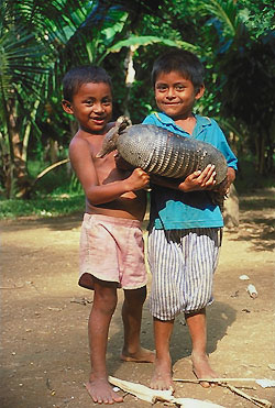 Ubicación y situación social y económica de las etnias Pech y Tawahkas ...