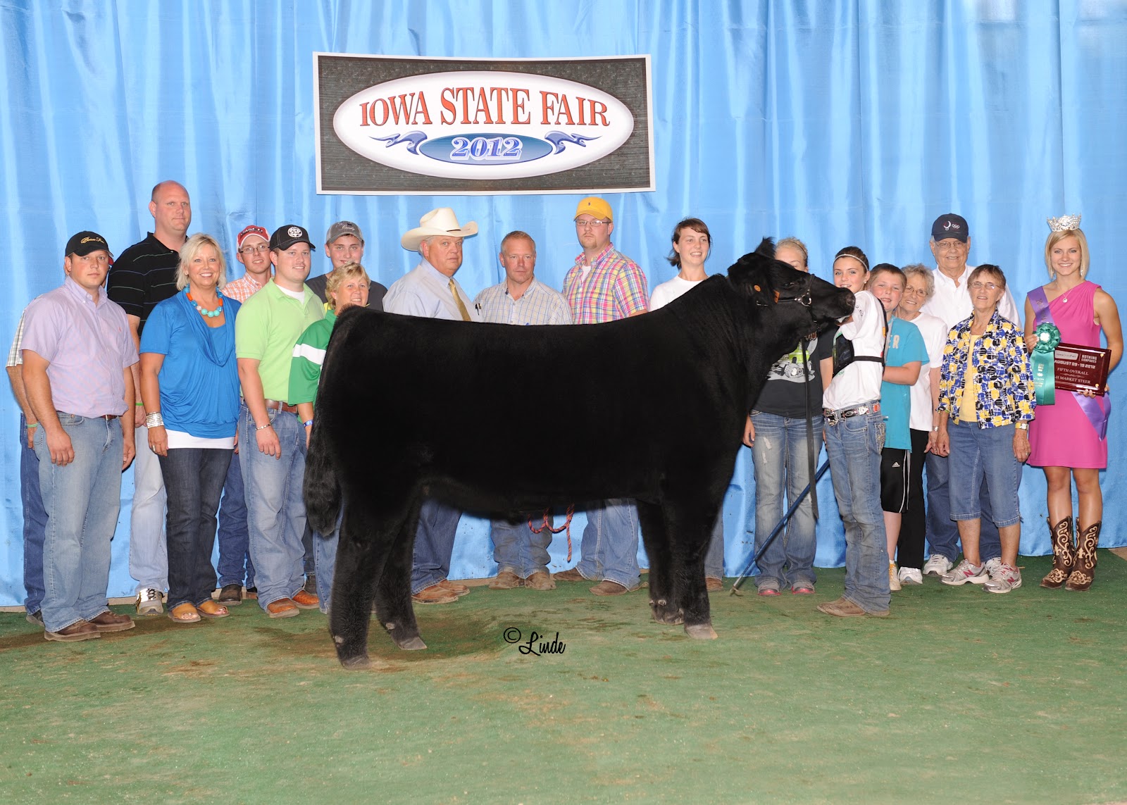 Lautner Farms: Iowa State Fair Winners sired by Phil Lautner Bulls