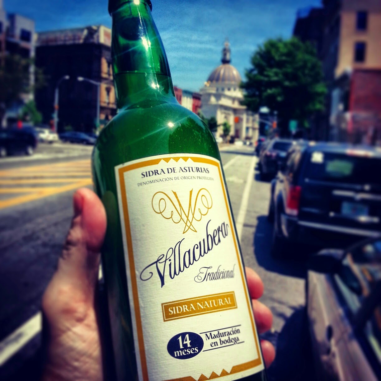 Gourmet Guild Williamsburg: Excellent Spanish Sidra (Cider) in the house!!