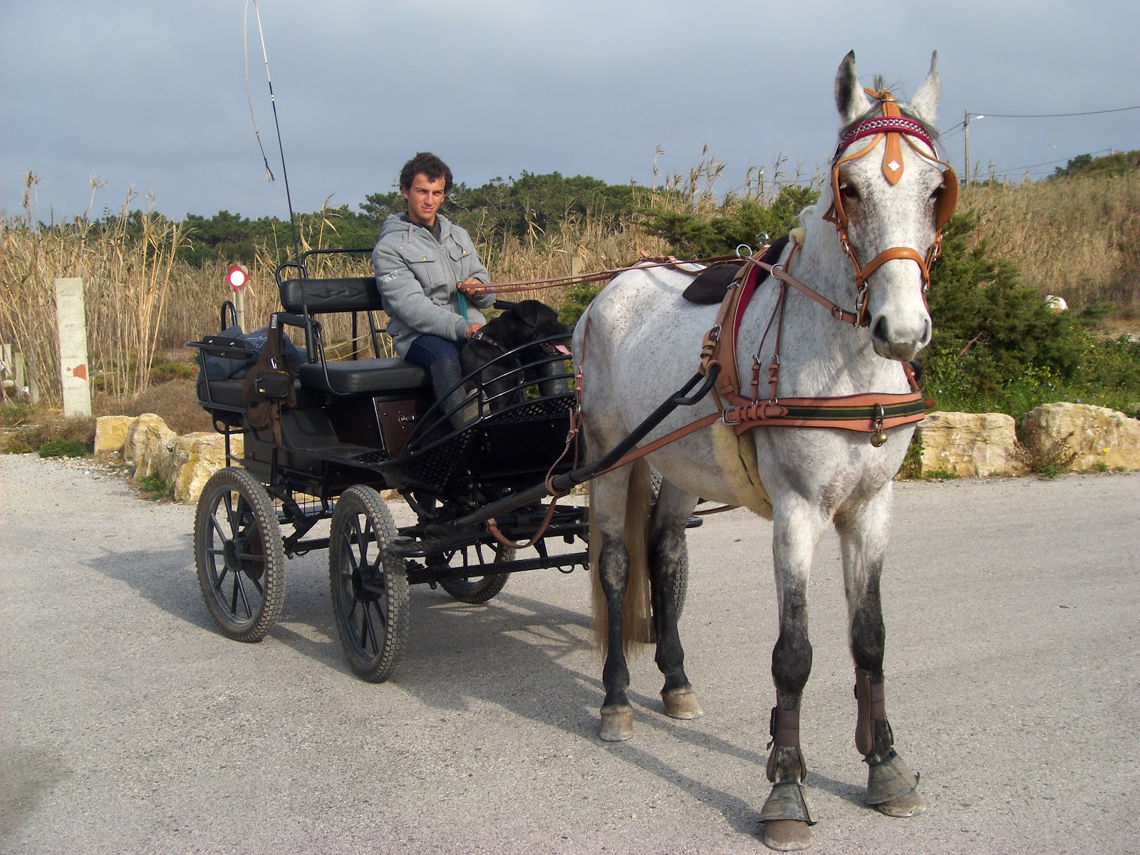 O Que é Posição Charrete - RETOEDU