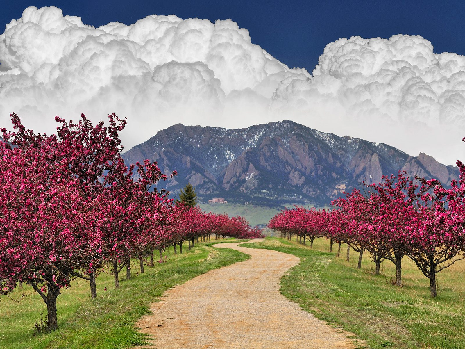 Critter Sitter's Blog: Photos of Early Spring in Colorado