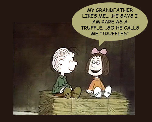 5 Fun Facts about Truffles