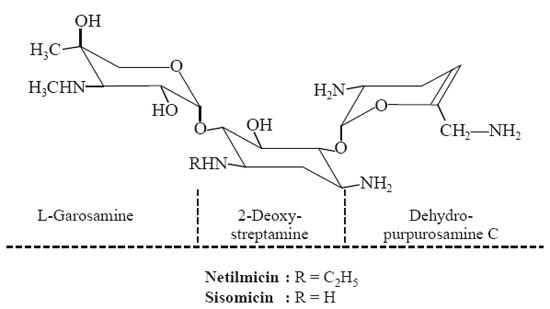 Aminoglycosides