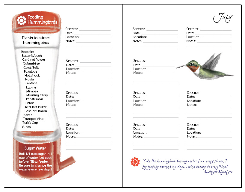 Nessy Designs: Birding Journal: Through the Seasons