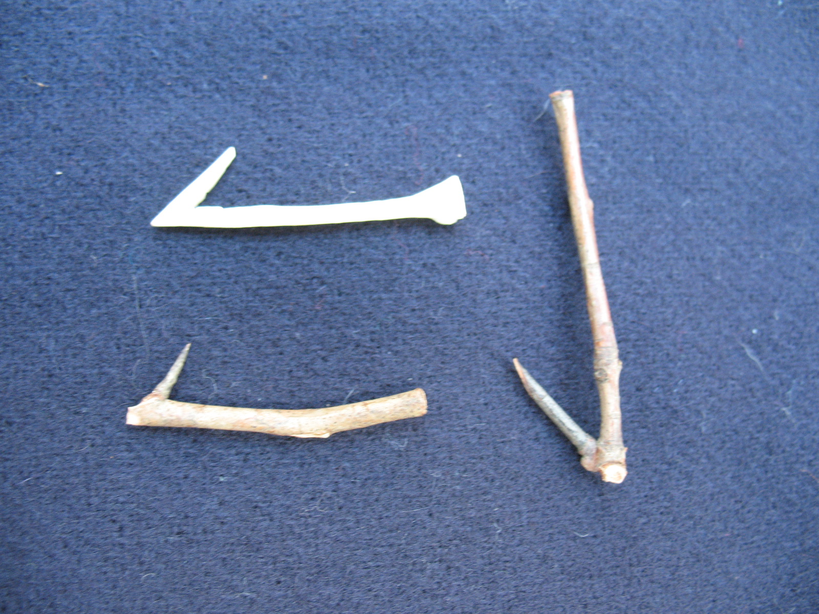 Sensible Survival: Survival Fishing - Make a Gorge Hook