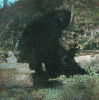 Eastern Ohio Bigfoot Research Center