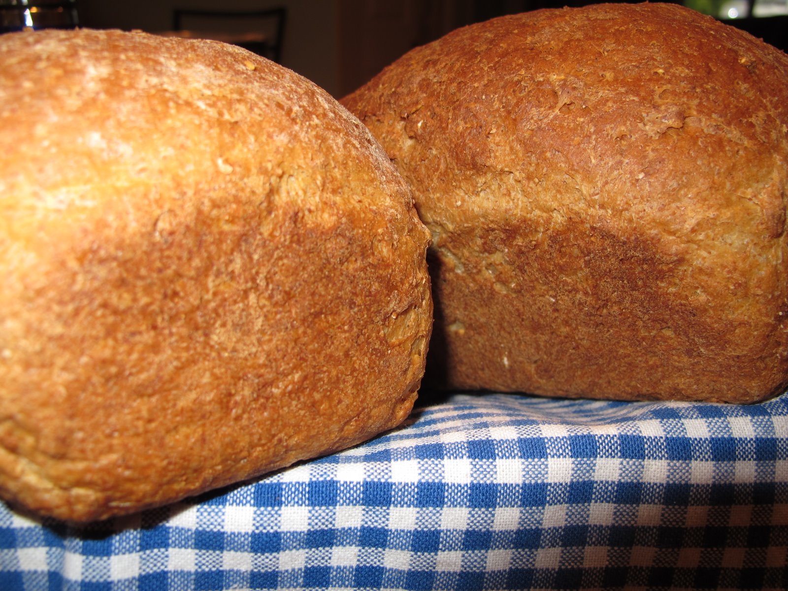 Mennonite Girls Can Cook: Honey Oatmeal Bread
