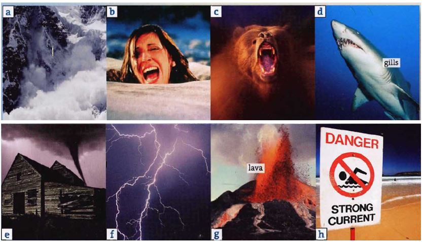 Practice Makes Perfect: 2019