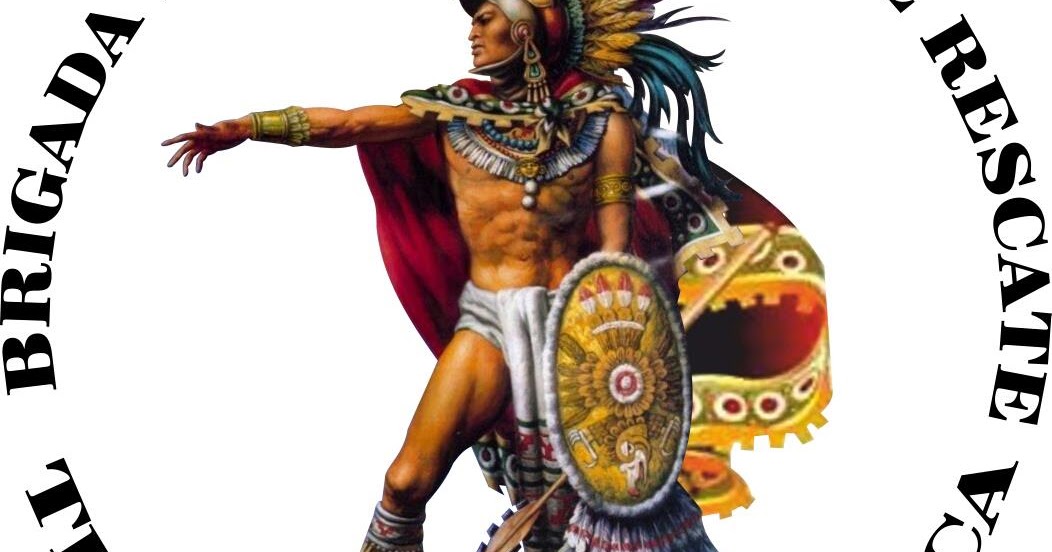 EMS SOLUTIONS INTERNATIONAL marca registrada: TOPOS Brigada ...