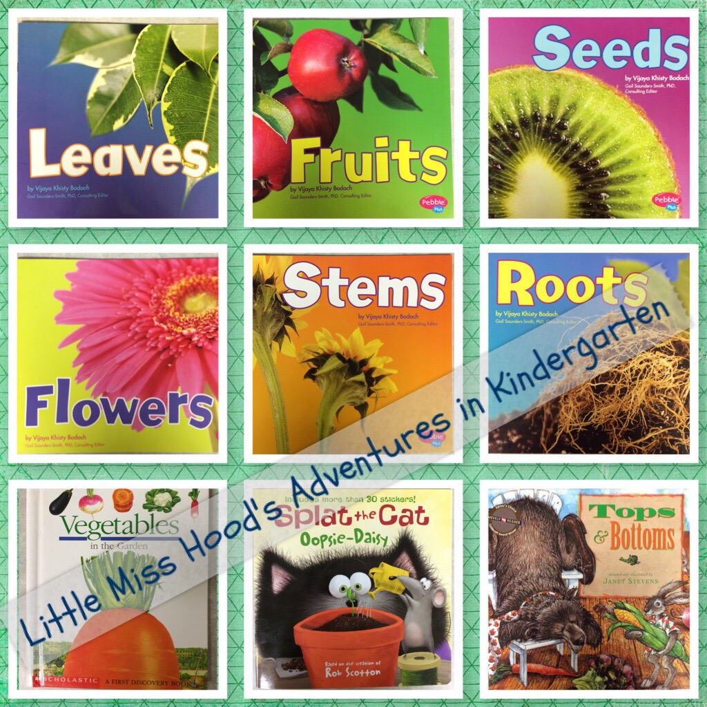 Little Miss Hood's Adventures in Kindergarten: Plants, Plants and More ...
