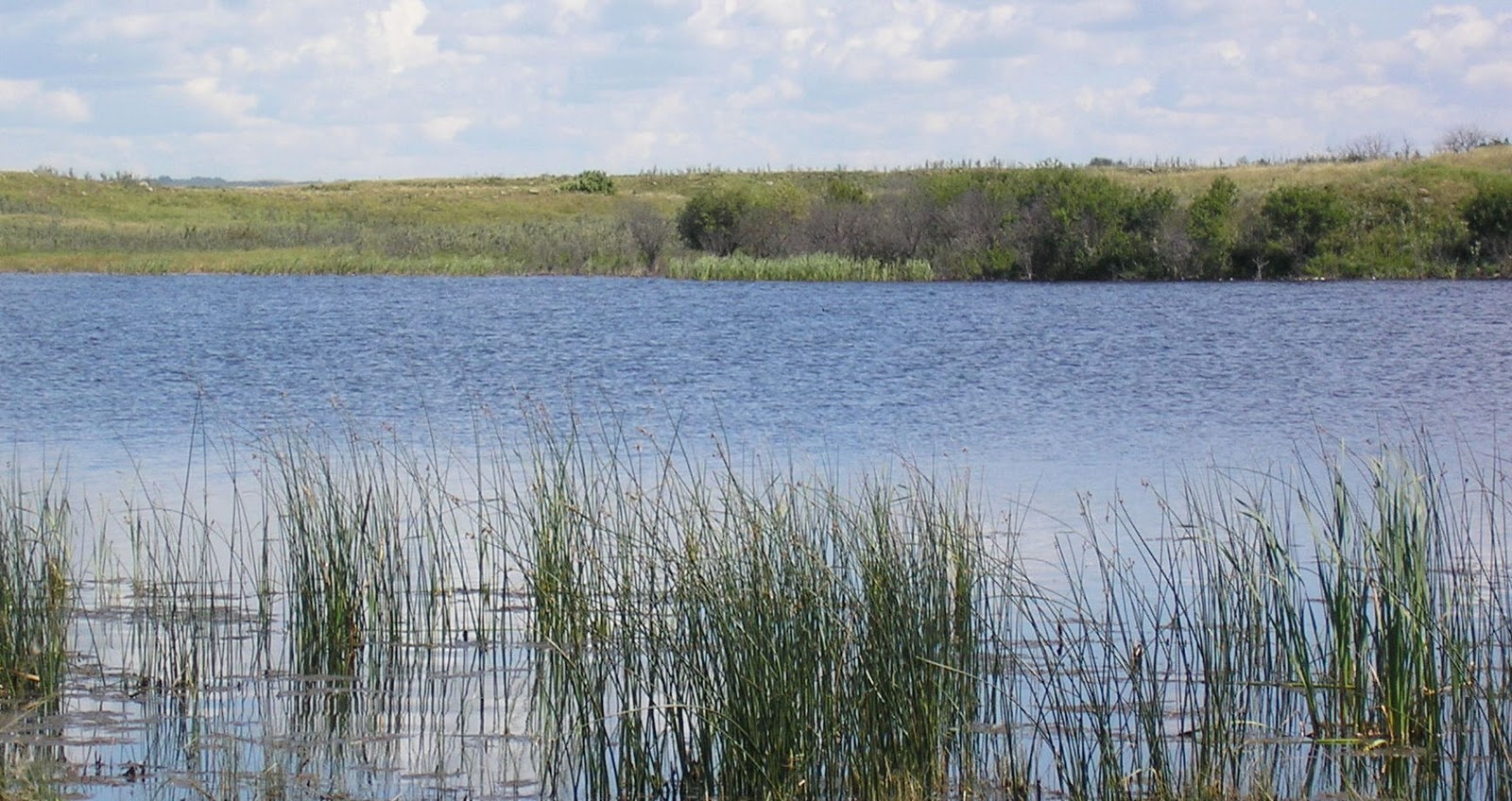 EcoFriendly Sask: Saskatoon's Northeast Swale: Ancient River Valley ...