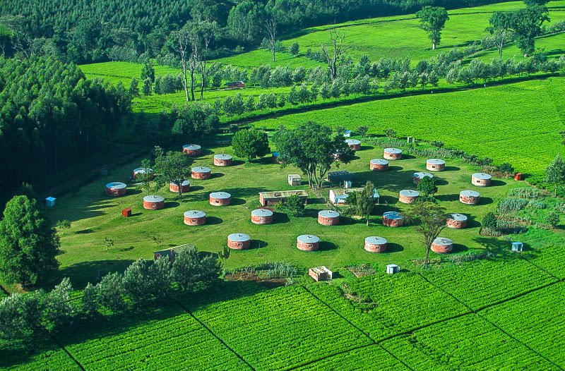 Kenya: the tea fields of Kericho | Minor Sights