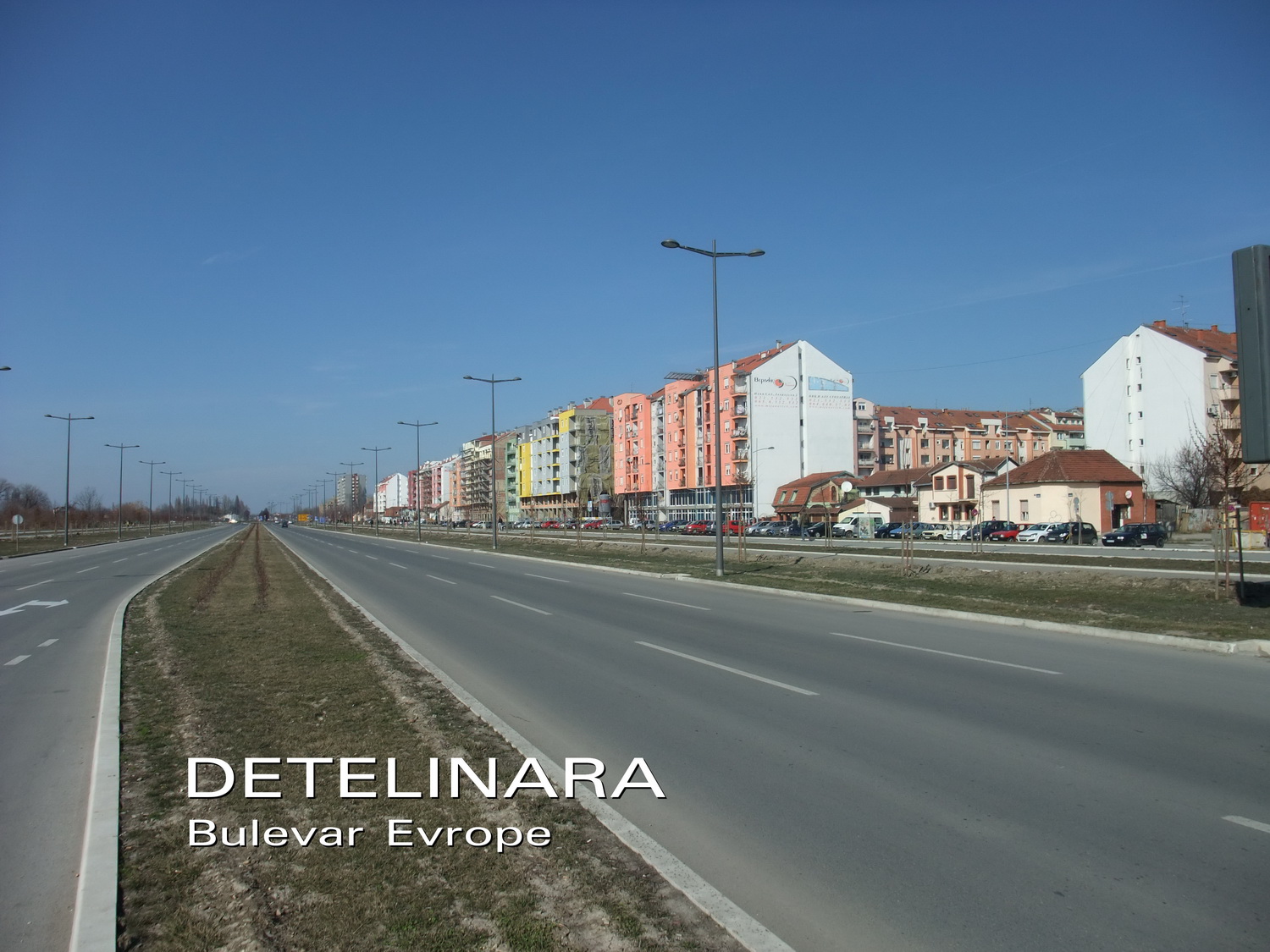 Sindža Mrsomud: Detelinara - povratak u budućnost