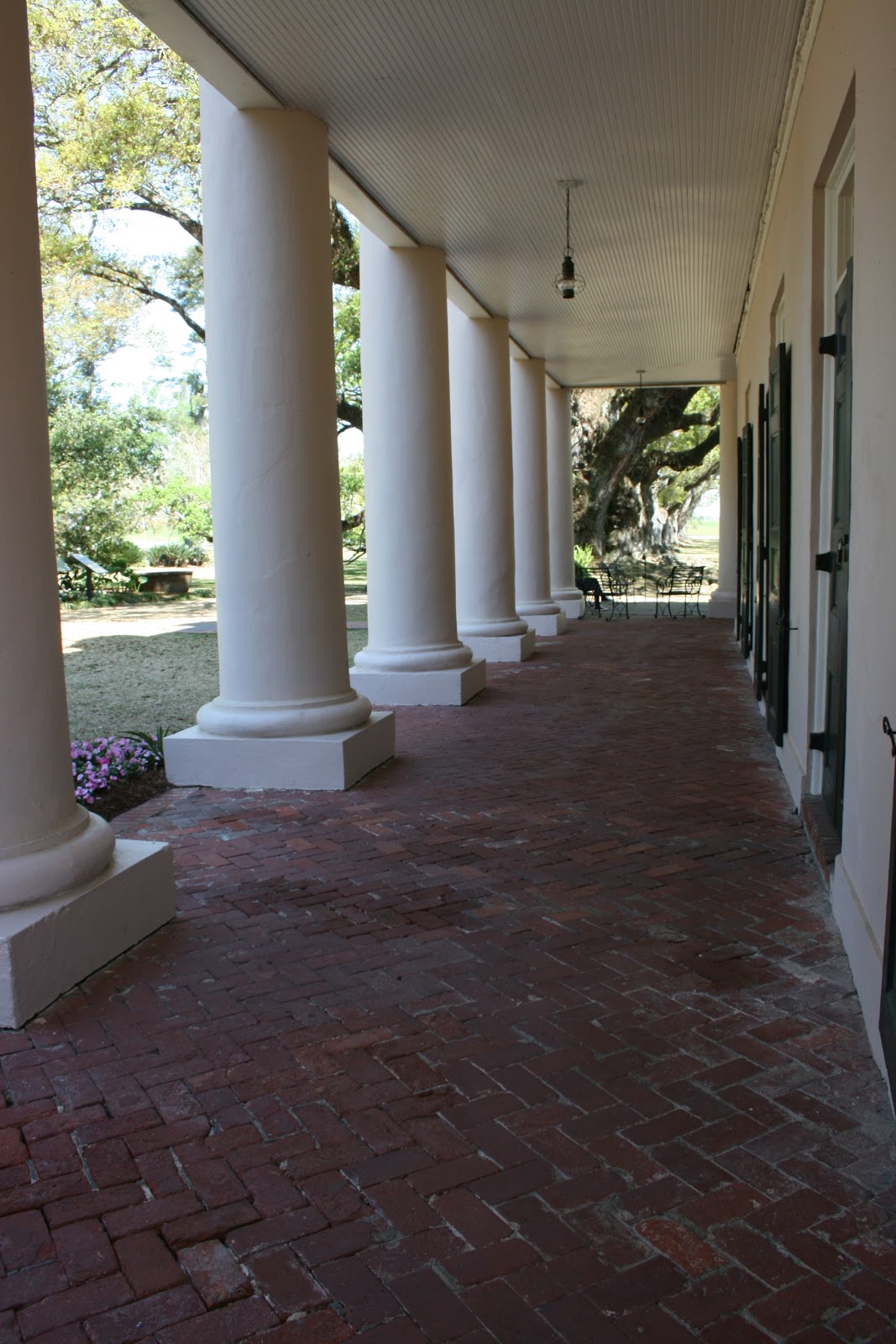vignette design: Oak Alley Plantation