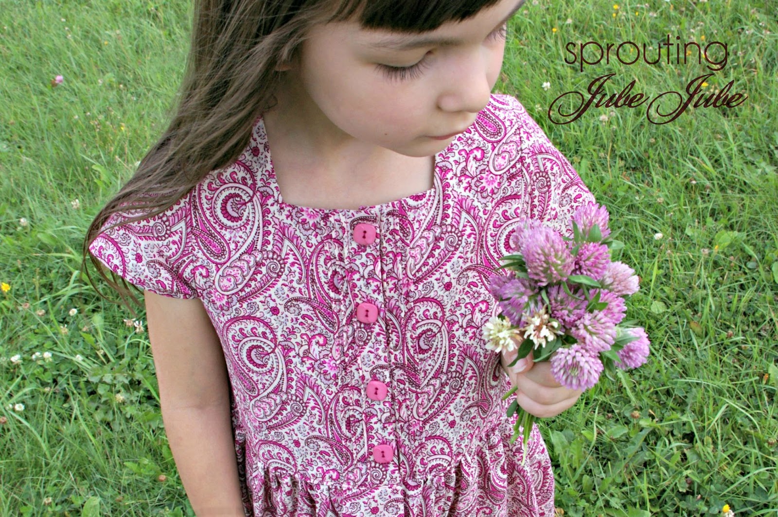 Sprouting JubeJube: All Spice by Paisley Roots