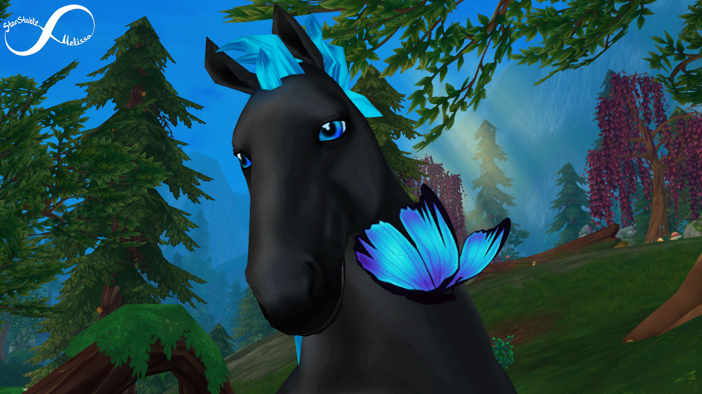 Star Stable Online Mel: Powrót Concorde'a i Dzikich Koni Jorveskich