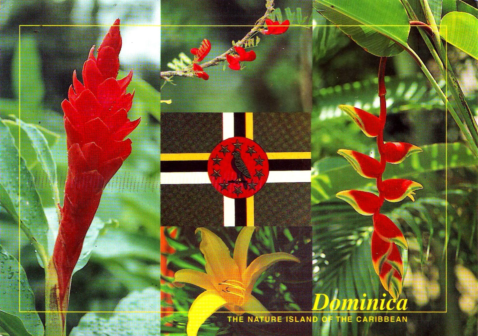 My World In (Written and Stamped) Postcards: [ DOMINICA ] Flowers and ...