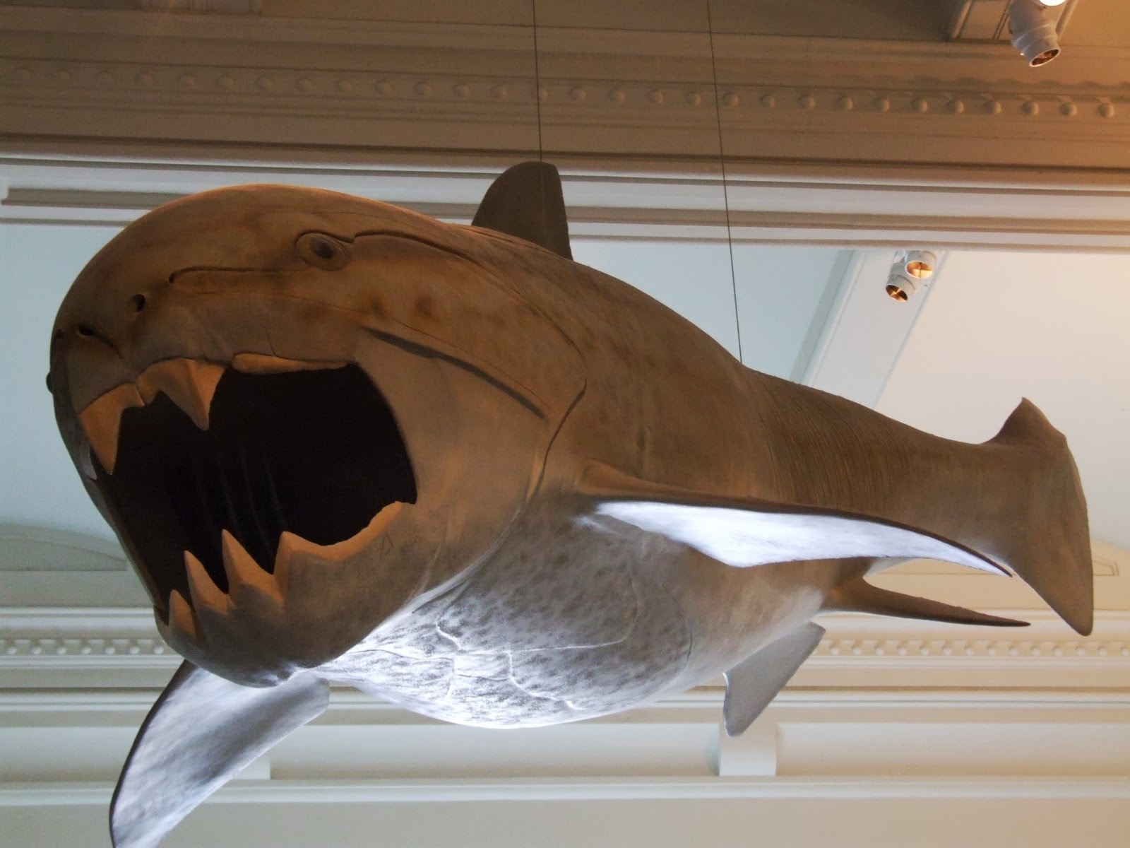 The Culinary Lens: Just a Taste Of The American Museum Of Natural History