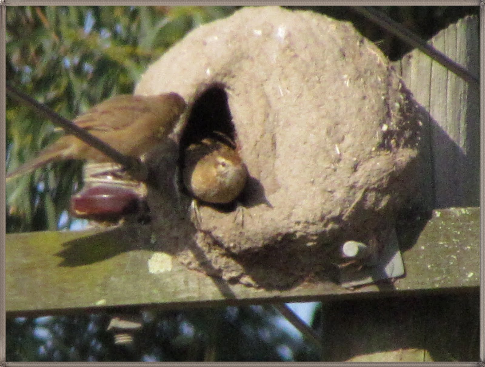 .Cunamoryvos: "La leyenda del hornero"