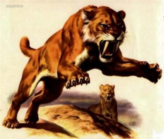 WELCOME TO ANIMAL PLANET 09: Amazing Extinct Animals From Past To Present