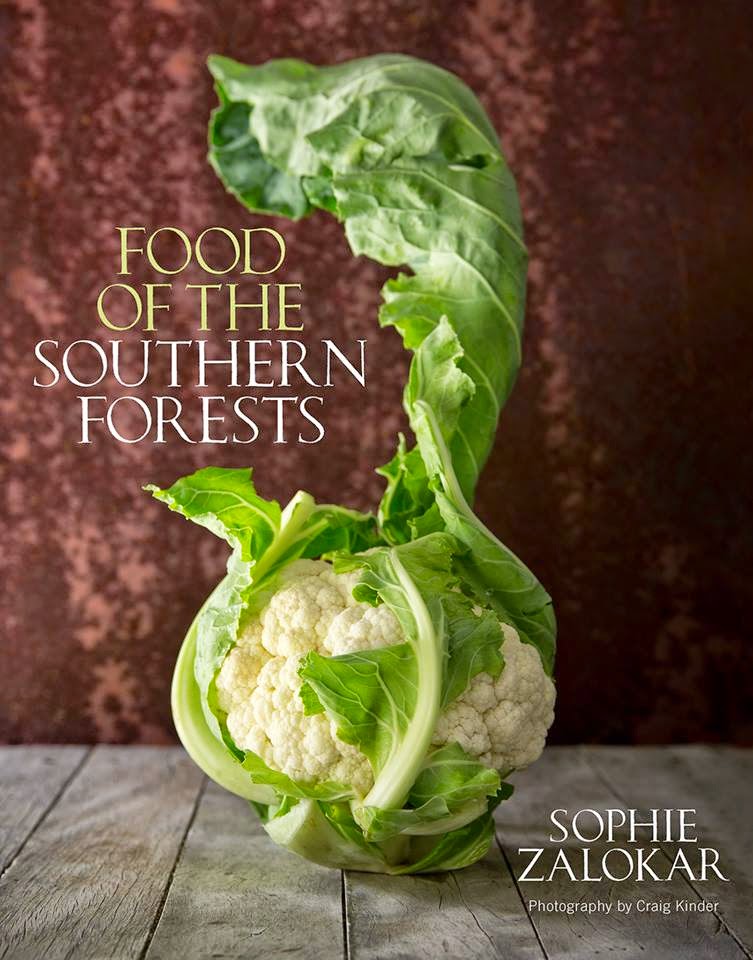 Hidden Gems of the Southern Forests: Food of the Southern Forests