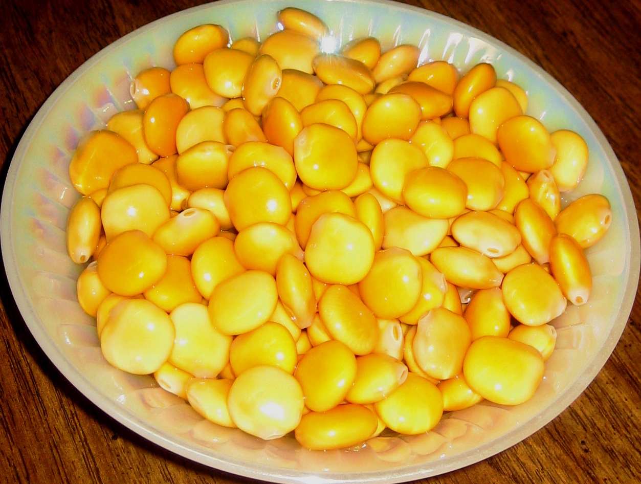 LA CASA E IL GIARDINO: LUPINI: A Traditional "Passatempo" (Snack)