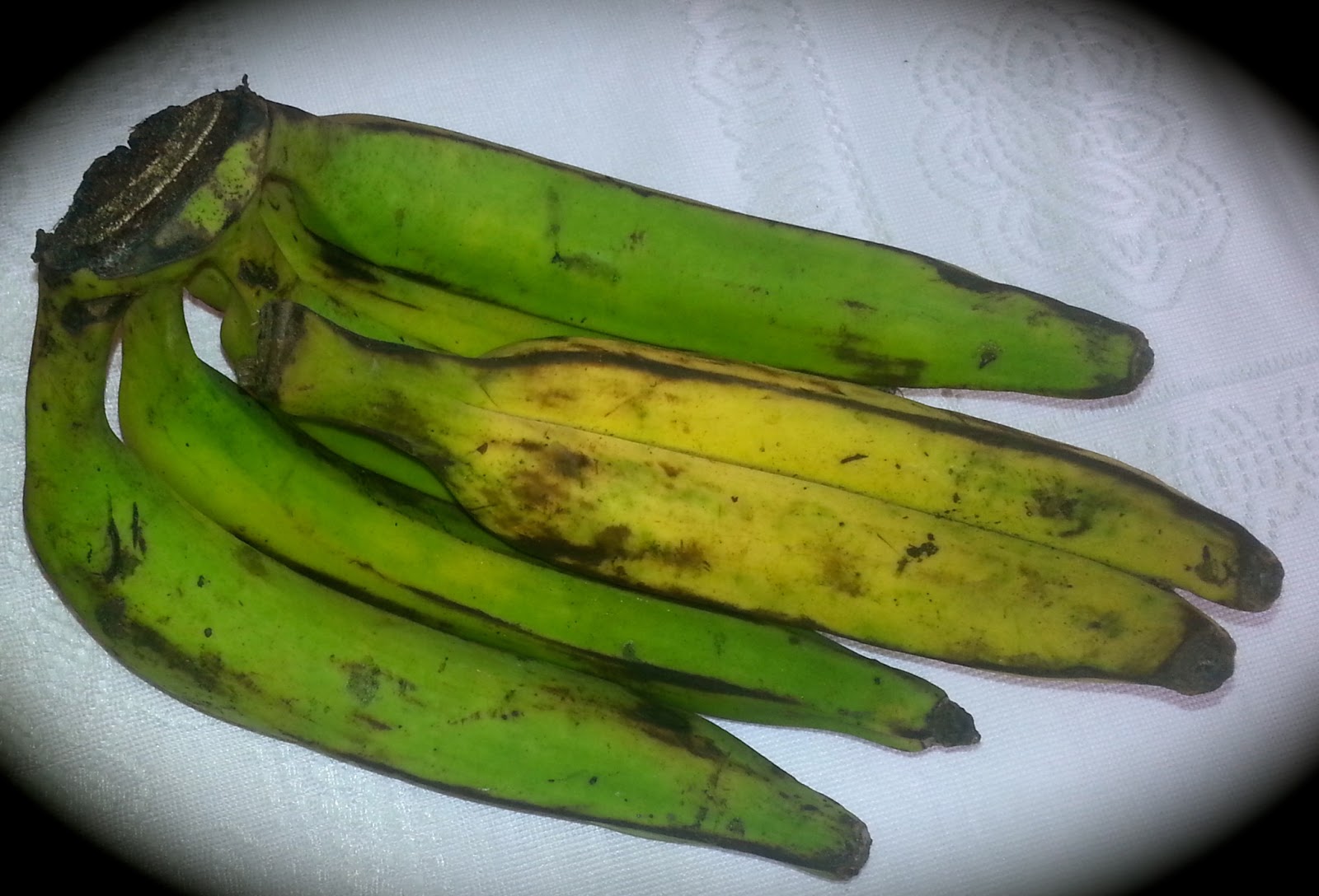 Gostos de Elizbeth Silva: Galeria