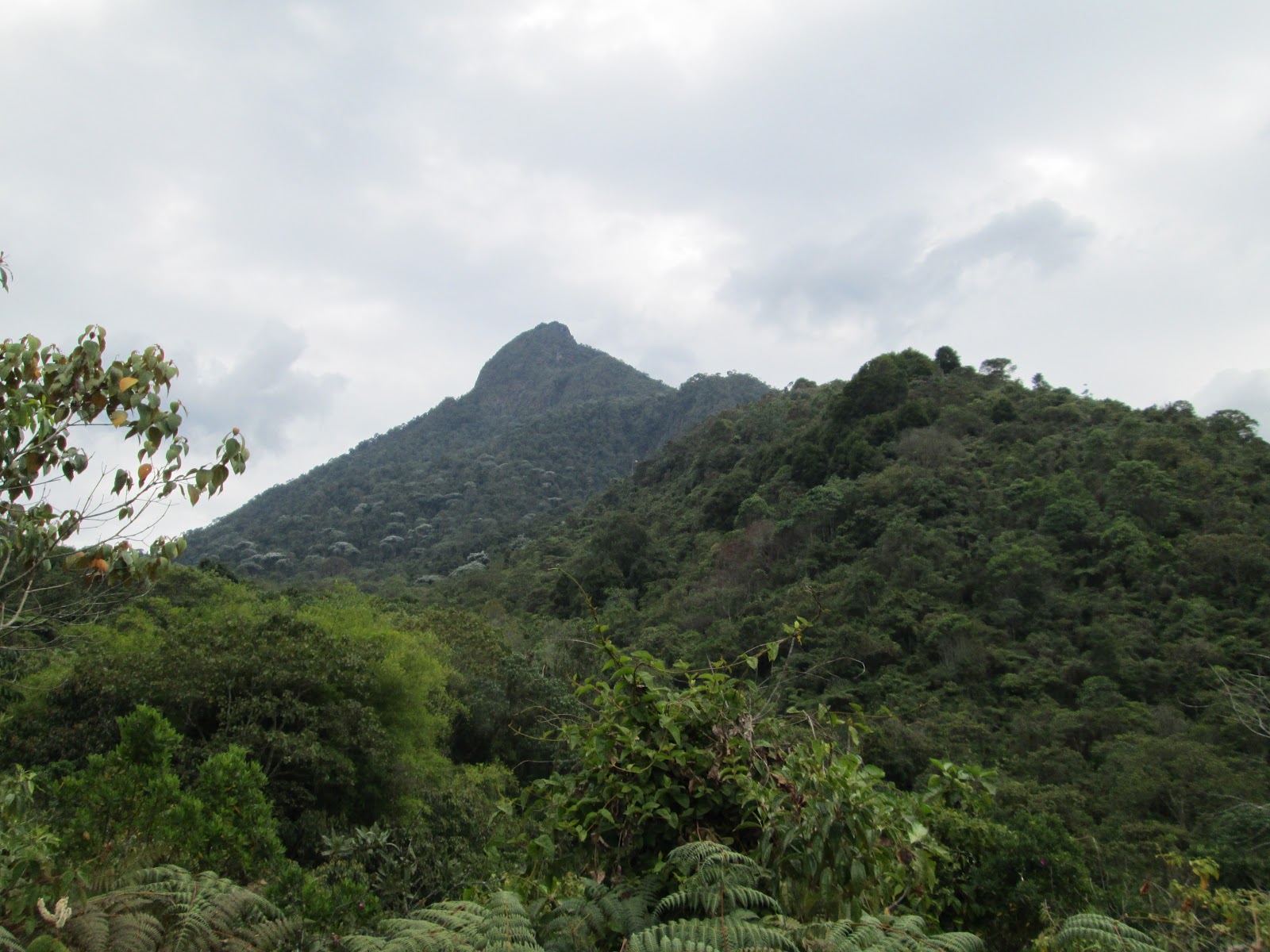 A frenchy in Colombia: Climbing up "Pico de Loro"