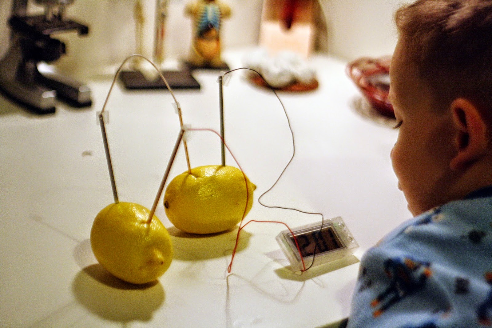 Montessori Ev Okulu : Wall-E- Limon Pili Deneyi- Basit Robotlar (Wall-E ...