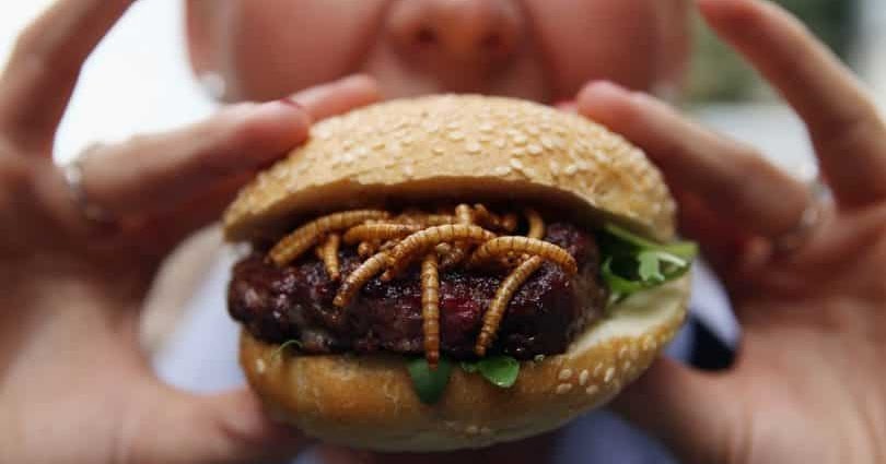 Edible Insects Market Worth 1,181.6 Million USD by 2023