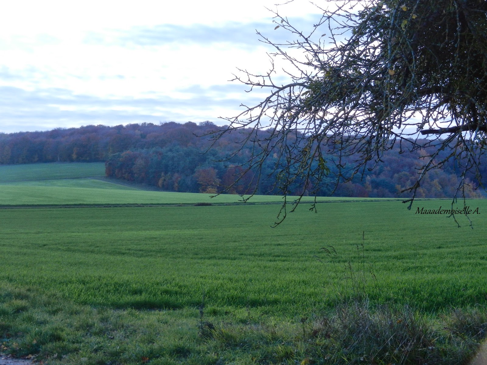 Maaademoiselle A.: || This moment # 14 : A la découverte de notre campagne