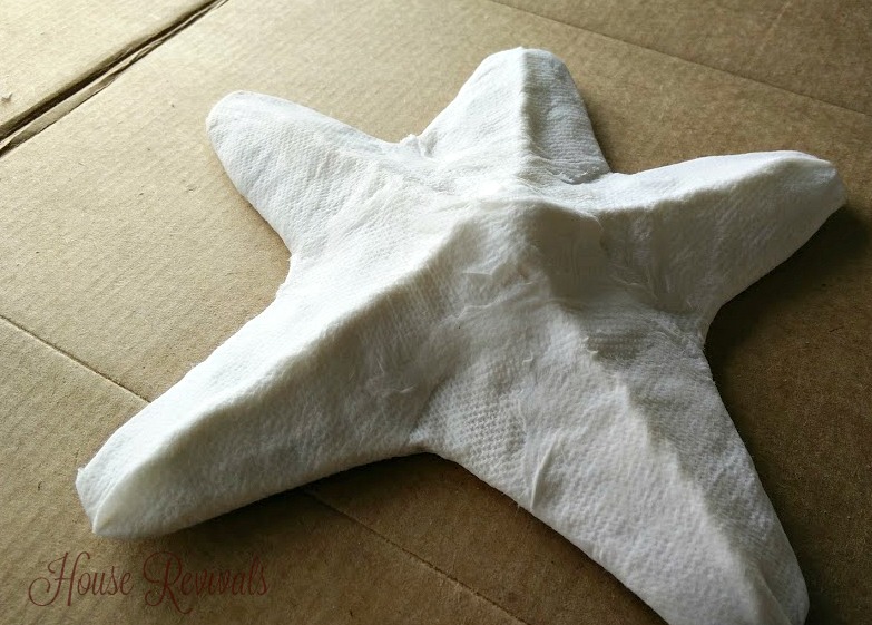 You might also like t his article on how to make a wire armature starfish.