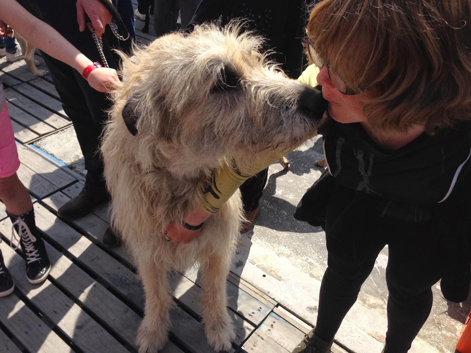 Beattie's Book Blog - unofficial homepage of the New Zealand book ...