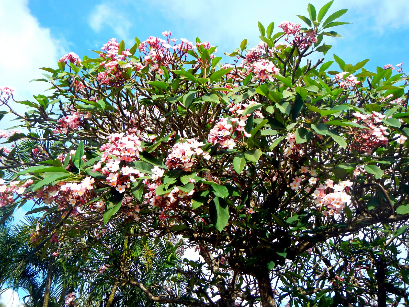 Here and There : GUAM - We made it!