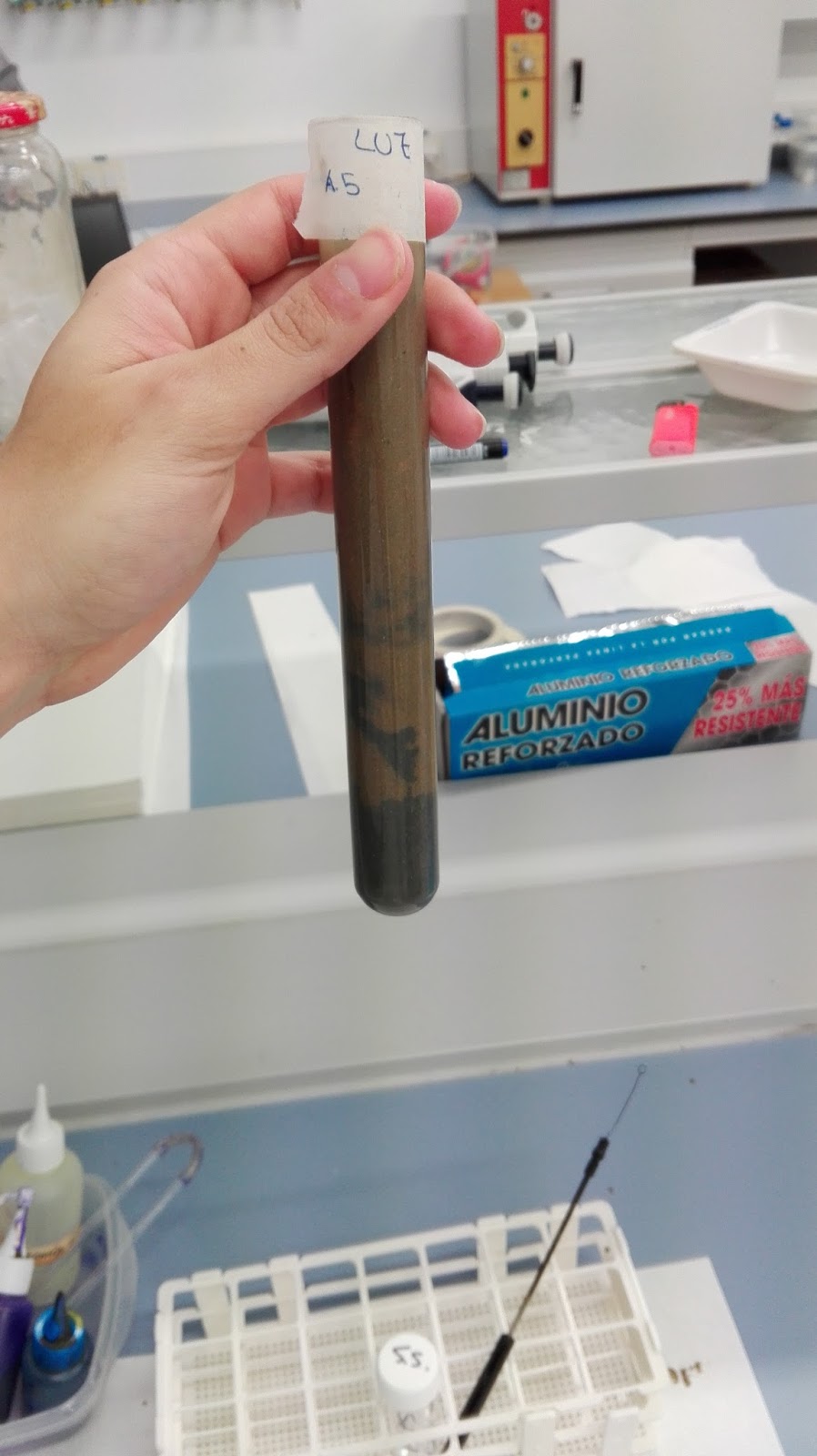 Winoblog: UCA_5A-6A-7A_1: Day 0 – Starting Winogradsky Column’s project!