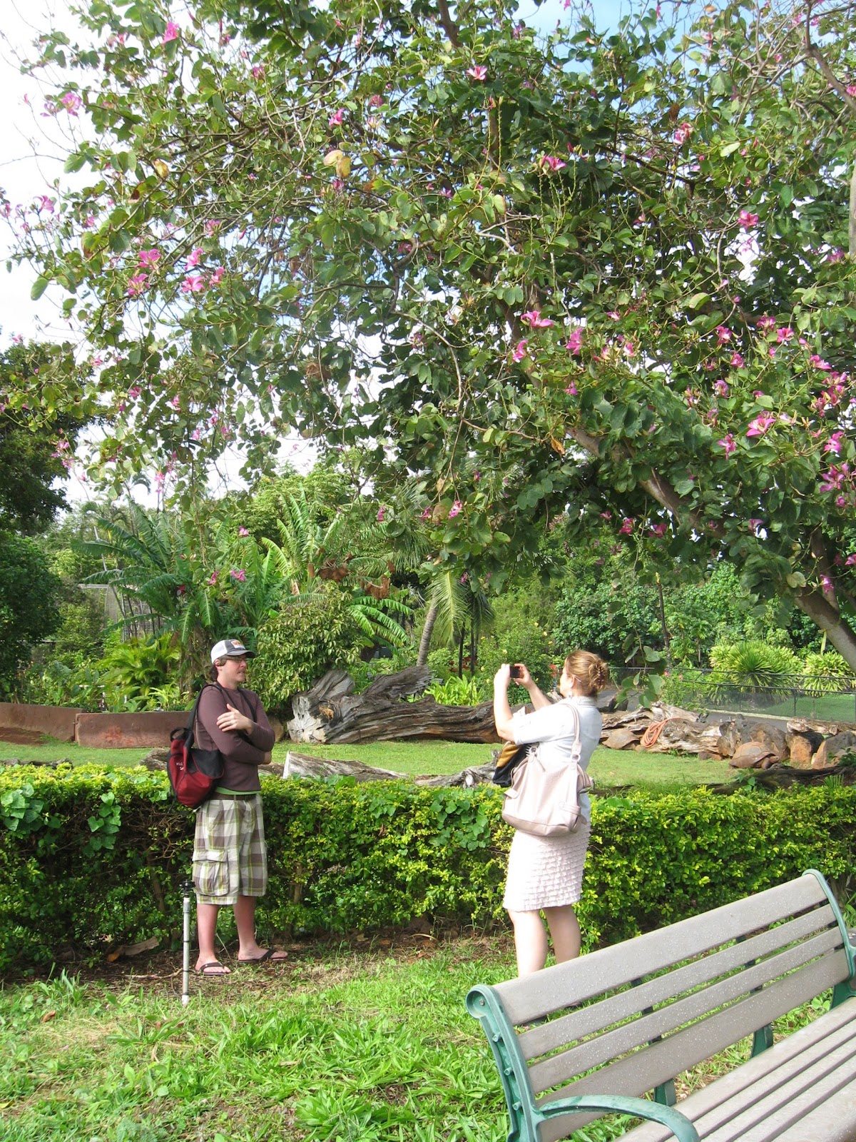 Jax Stumpes: Hawai'i - Honolulu Zoo (12/23-24/2011)