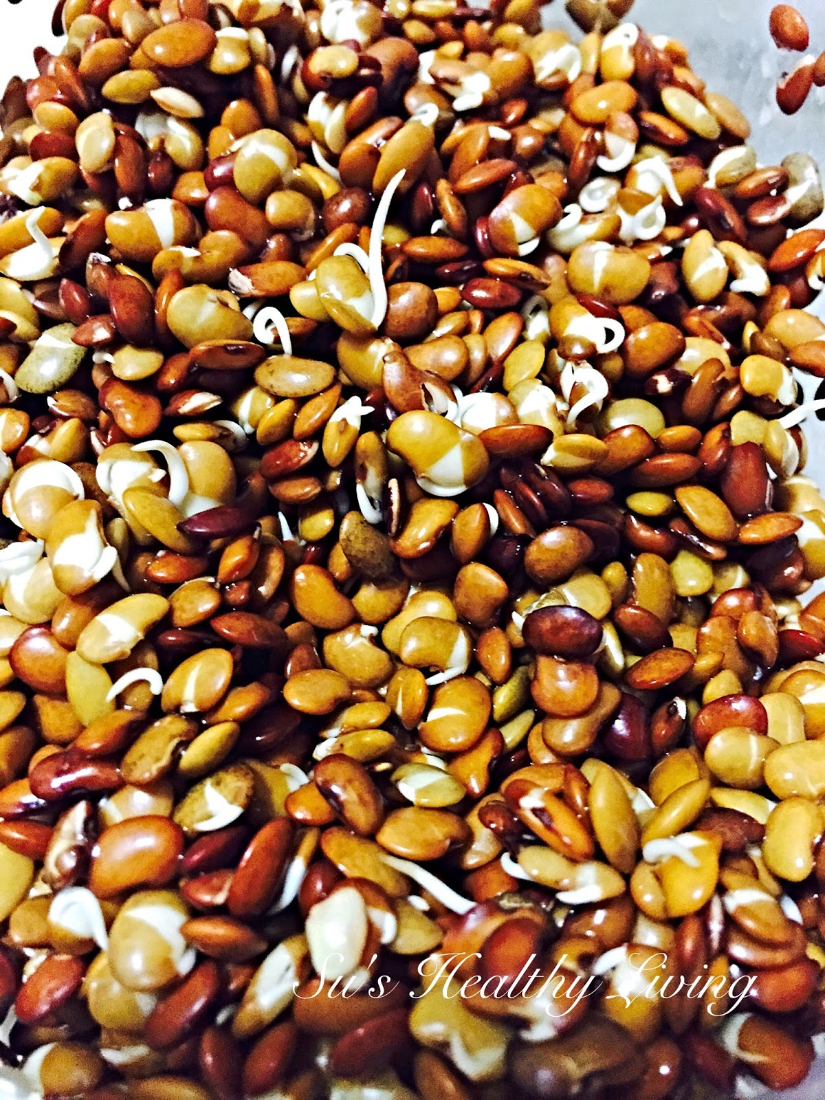 Su'sHealthyLiving: Kulith Kosumbari ( Horse-gram salad); Diabetes ...