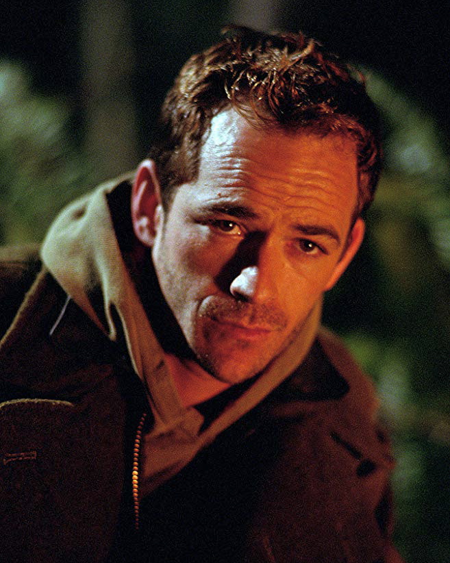 sound + vision: Luke Perry (1966 - 2019)