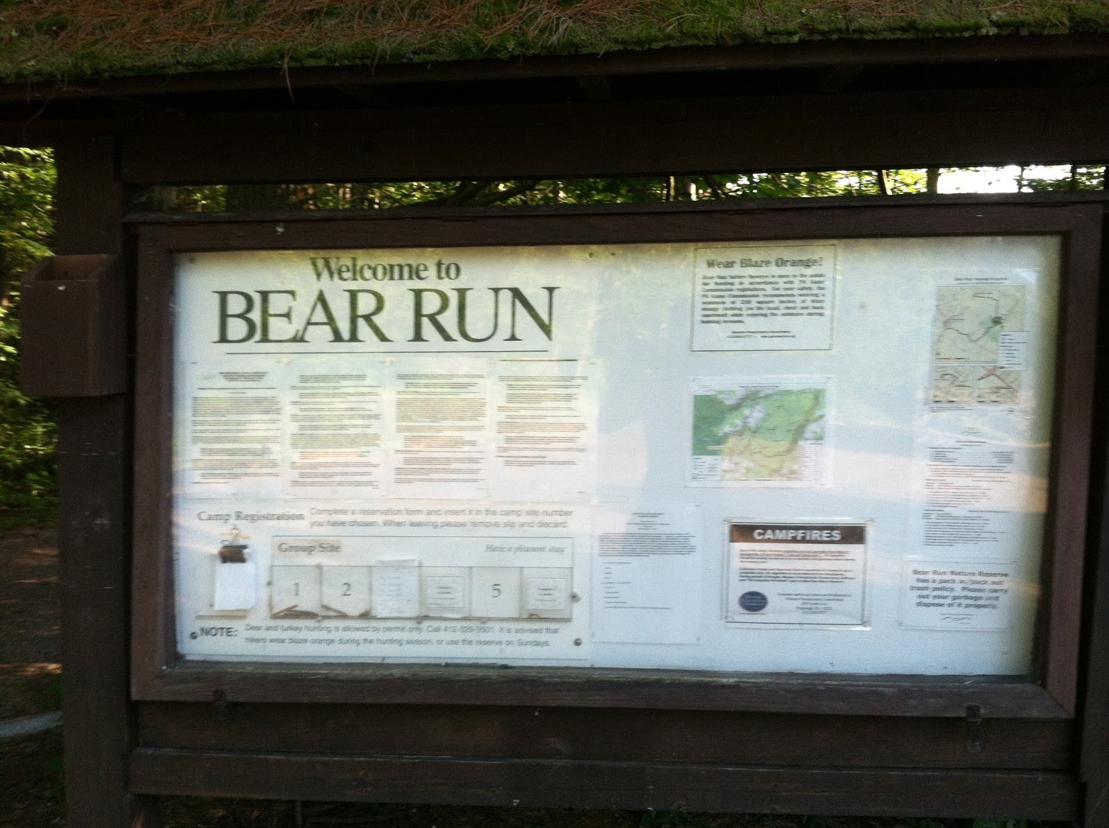 Tim Anderson's climbPA blog: Bear Run Trail Run Challenge - Bear Run ...
