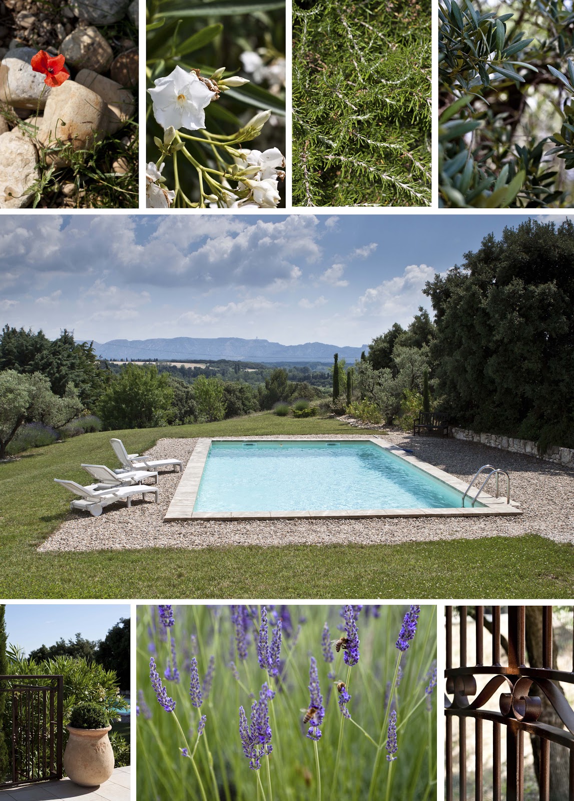 MAGS D. PHOTOGRAPHY: Best B&B in Provence
