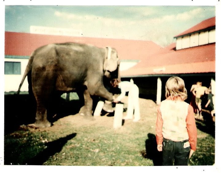 ..Circus Anonymous..: 06/19/11