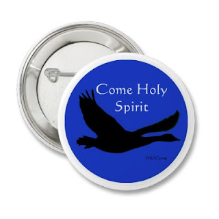 Blue Eyed Ennis: The Wild Goose and Symbols of The Holy Spirit