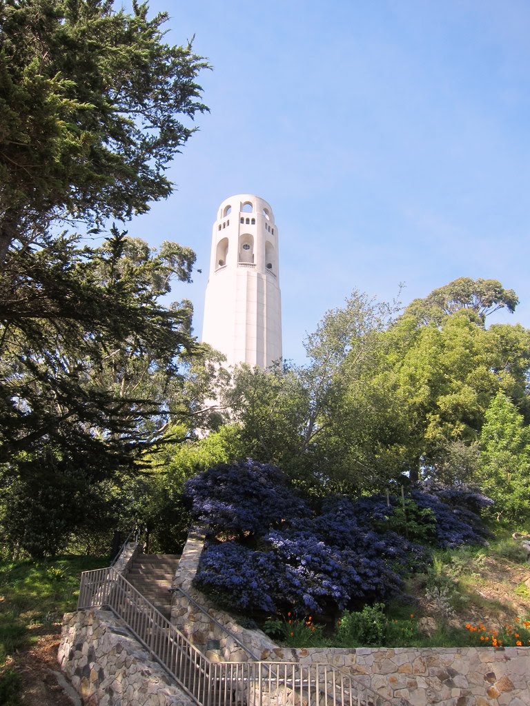 Jane Says: Walking to Coit Tower and the Parrots of Telegraph Hill