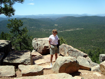 Highway Runner: A DRIVE ON THE MOGOLLON RIM, FOREST ROAD 300
