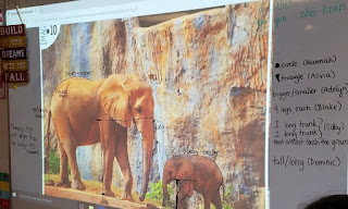 Miss Laidlaw's Classroom: Math Talks with inclusion of Oral Language