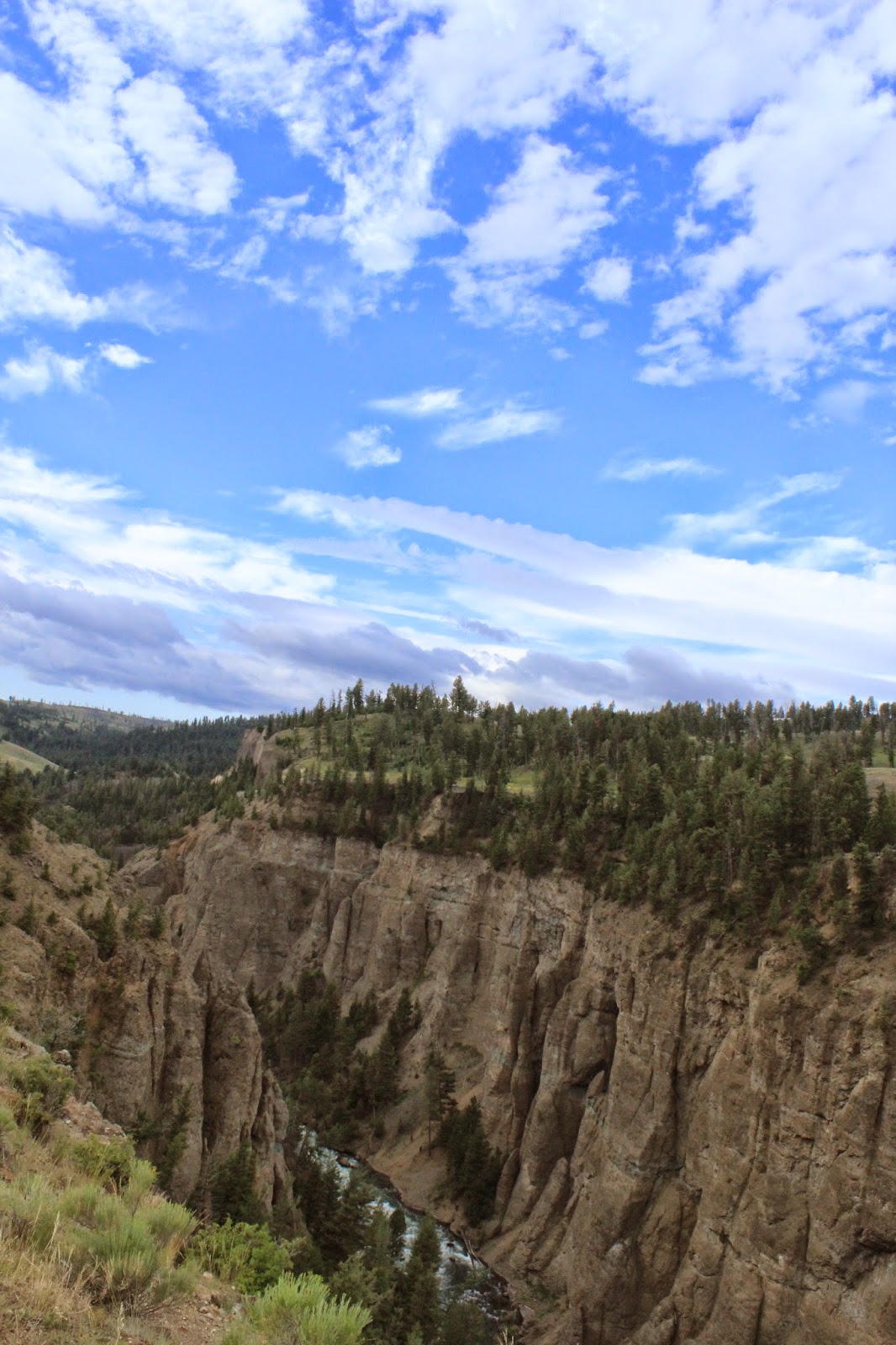 A Yellowstone Summer : Specimen Ridge