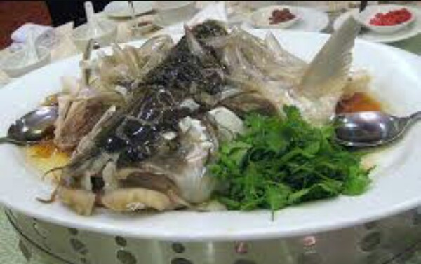 Romancing Borneo: Borneo Most Expensive Fish - Empurau