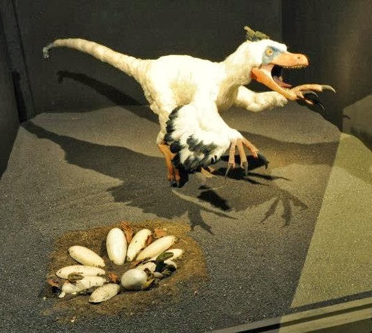 Species New to Science: [Paleontology • 1998] Variraptor mechinorum • A ...