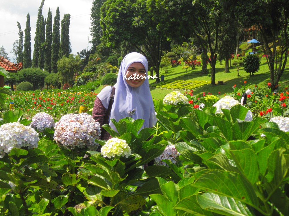 Merengkuh Indah Pagi di Taman Bunga Selecta - TᖇᗩᐯEᒪEᖇIEᑎ