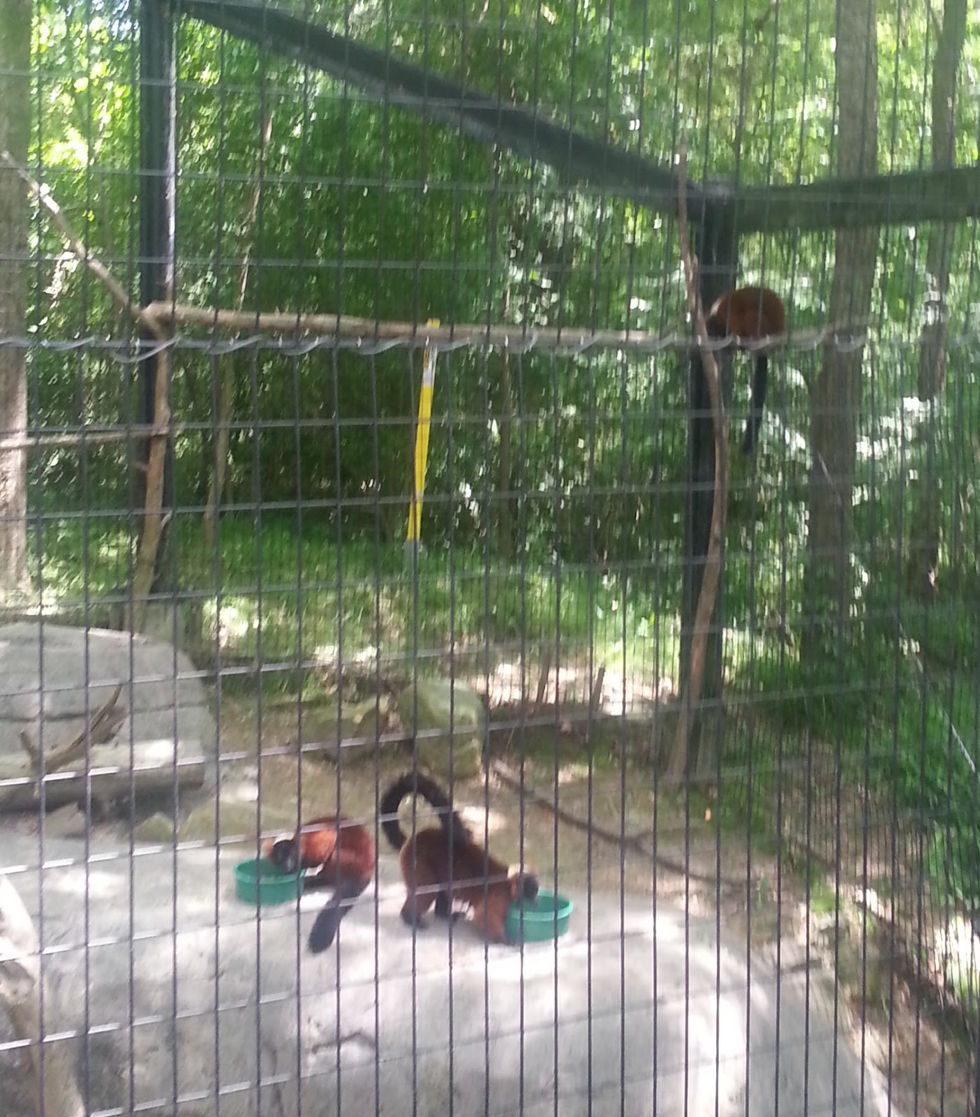 Rockhounding Around: Jackson Zoo, Jackson Mississippi